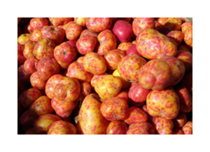 Papas increíbles: las andinas – Las Tertulias de Juana Manuela