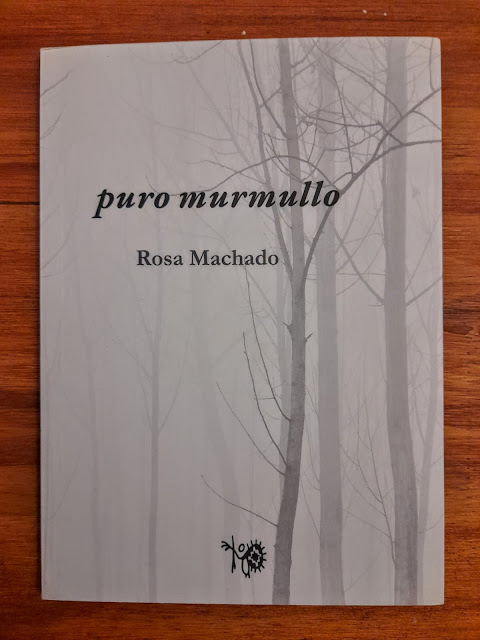 Rosa Machado, la poeta que rescata “sonidos secretos que nos atraviesan ...