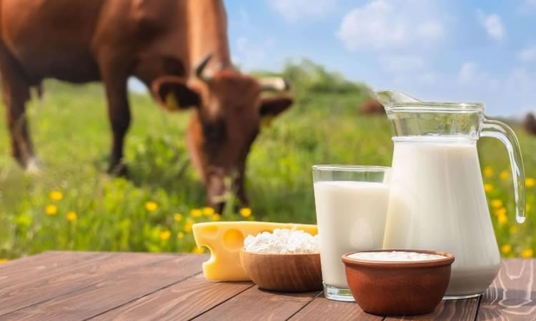 DÍA MUNDIAL DE LA LECHE – Las Tertulias de Juana Manuela